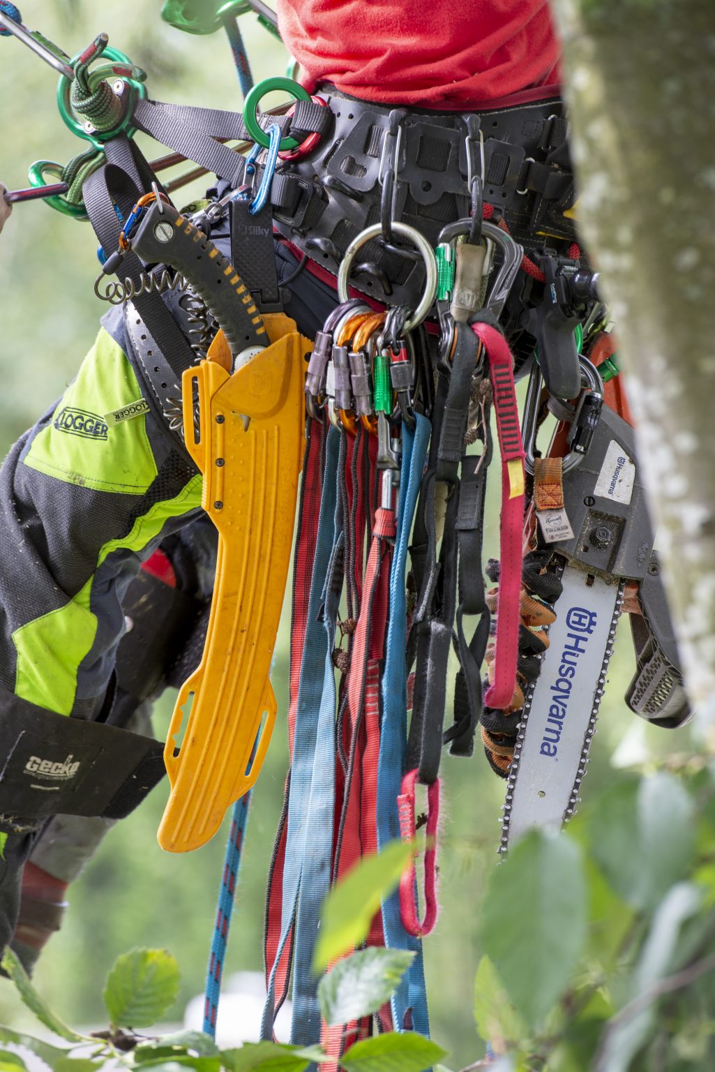 Outstanding Tree Surgeon Courses UK | Ground Up Training